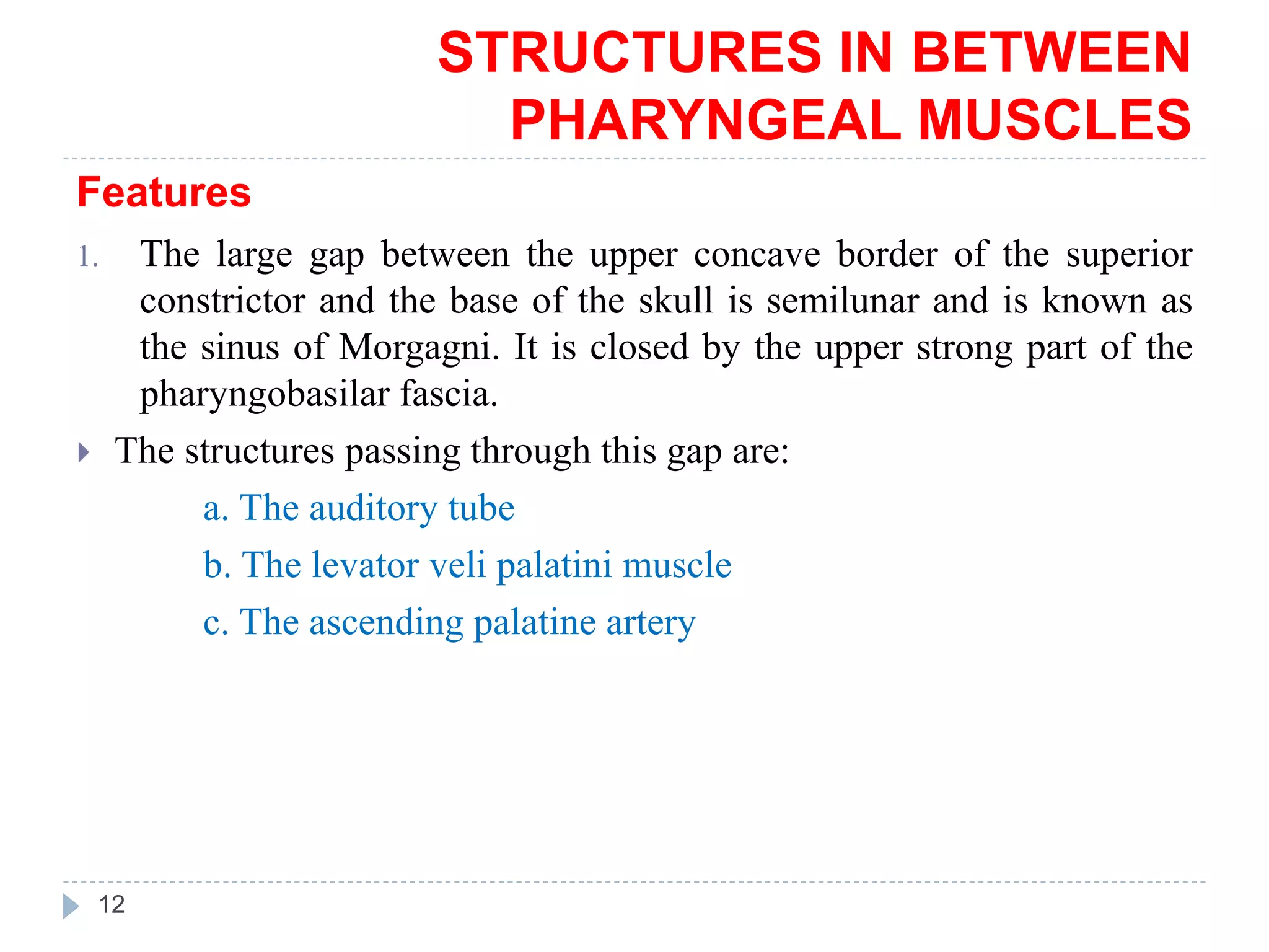 MUSCLES OF THE PHARYNX. | PPTX