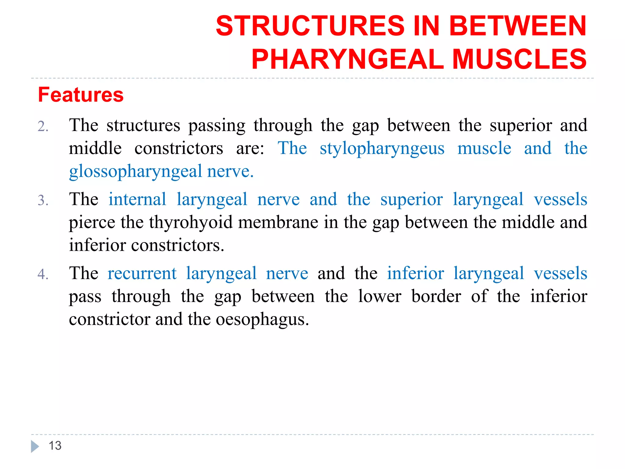 MUSCLES OF THE PHARYNX. | PPTX
