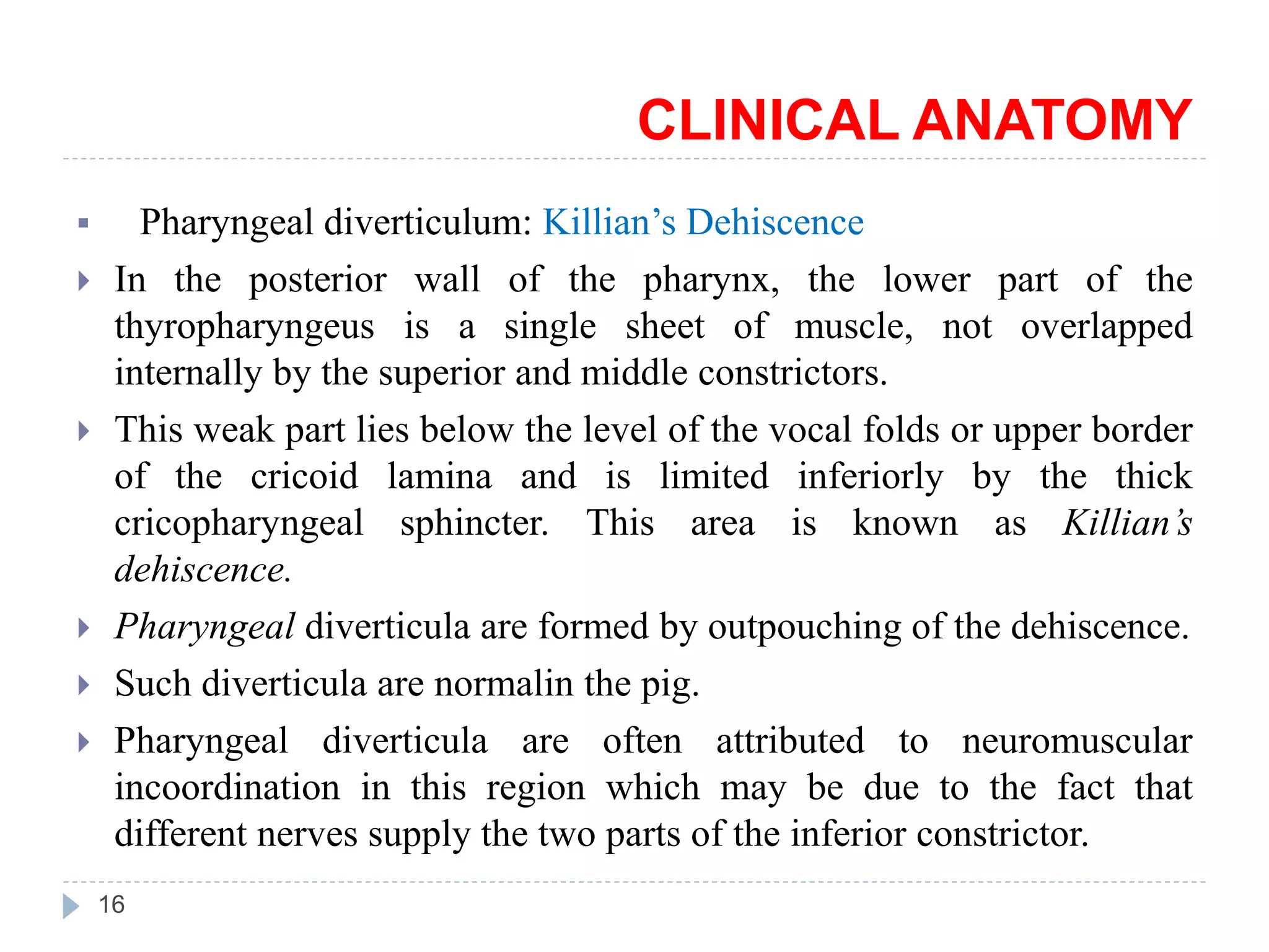MUSCLES OF THE PHARYNX. | PPTX