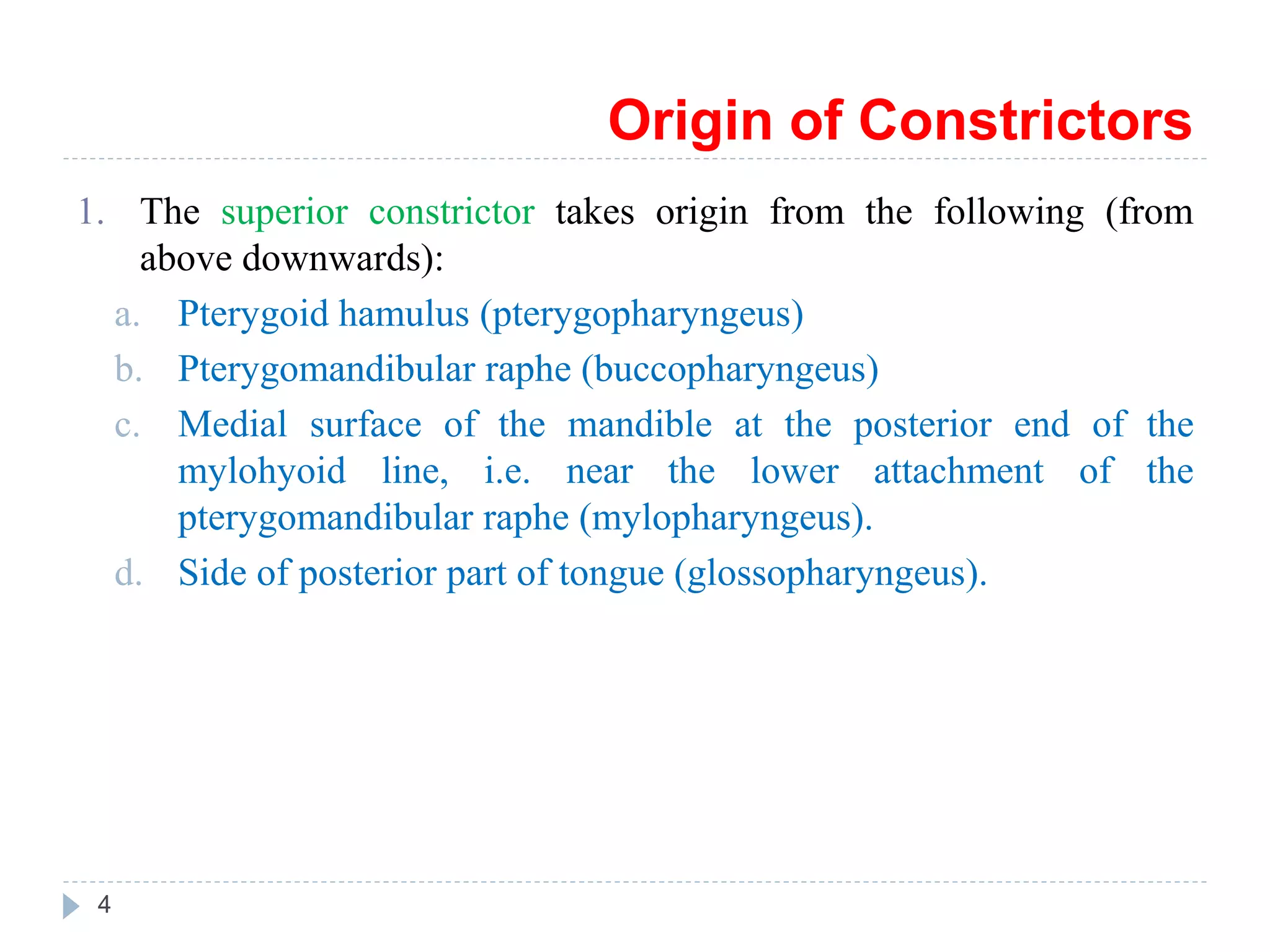 MUSCLES OF THE PHARYNX. | PPTX
