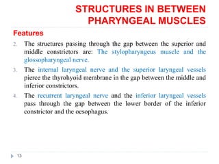 MUSCLES OF THE PHARYNX. | PPTX