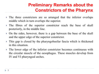 MUSCLES OF THE PHARYNX. | PPTX