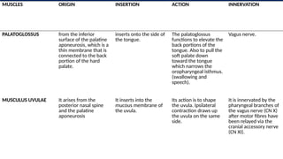 MUSCLES OF THE SOFT PALATE-----------.pptx