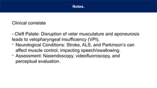 MUSCLES OF THE SOFT PALATE-----------.pptx