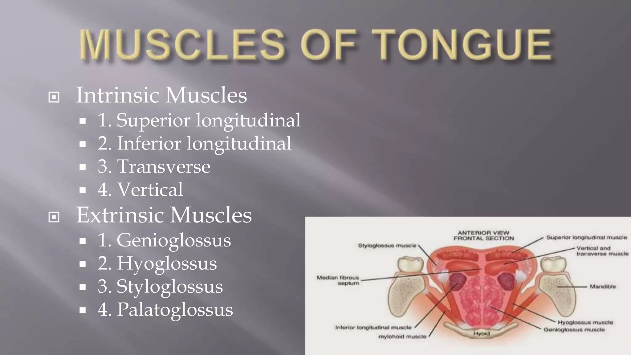 Muscles of the Tongue | PPTX