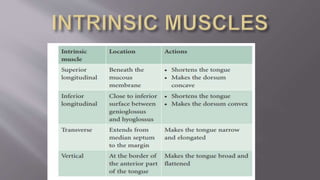 Muscles of the Tongue | PPTX