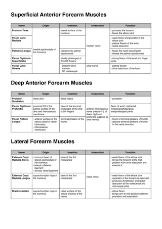 Muscles of the upper limb | PDF