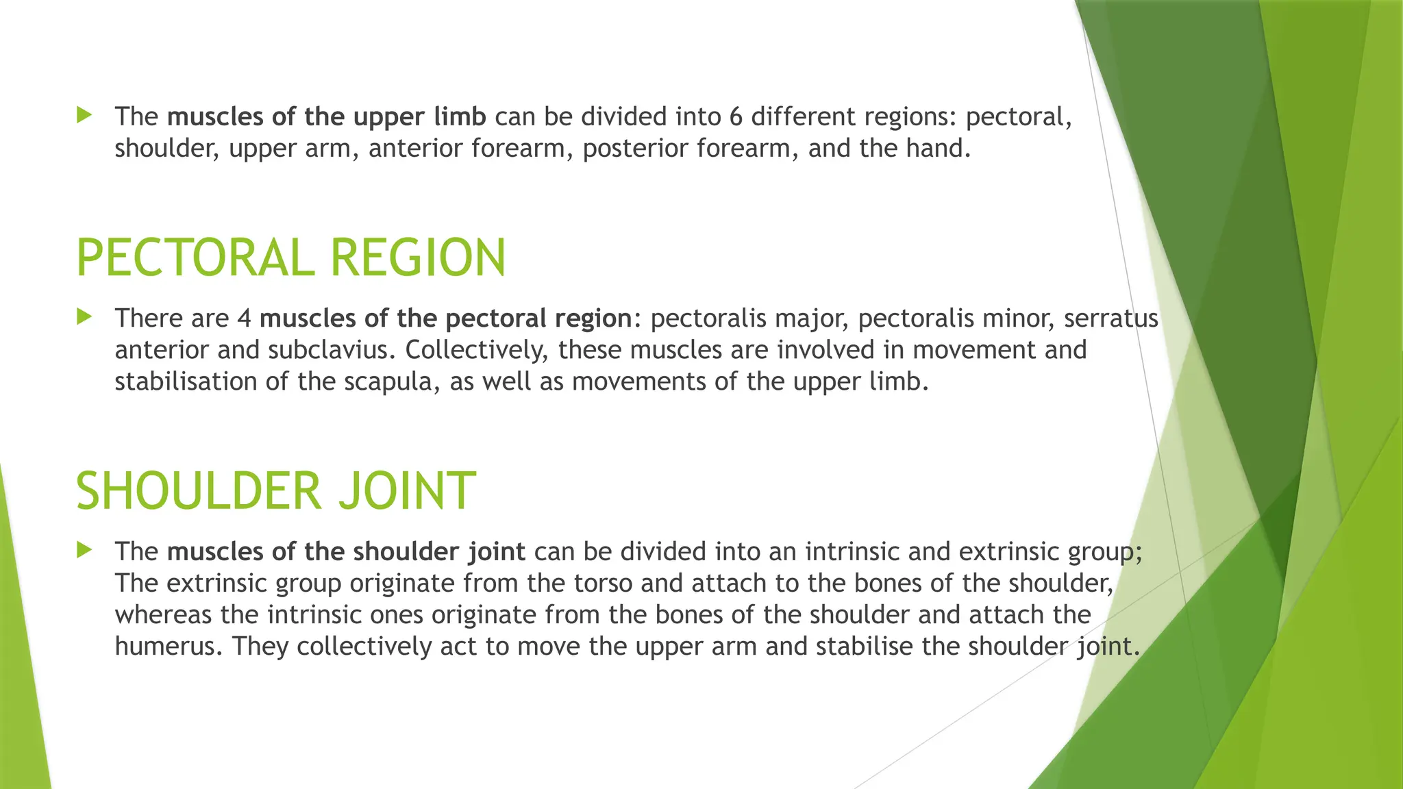 Muscles of the Upper Limb/pectoralis major | PPTX