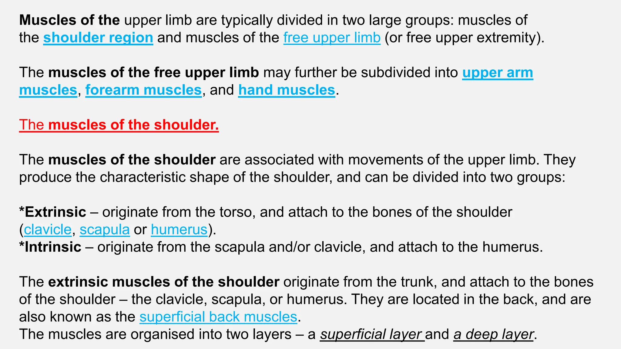 Muscles of the upper limbbbbbbbbbbs.pptx