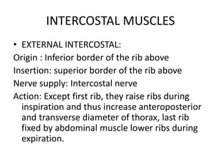 MUSCLES OF THORACIC WALL.pptx