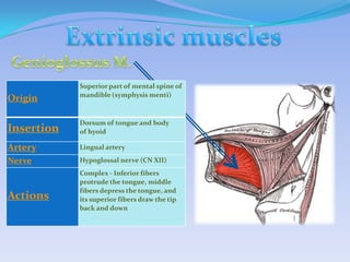 Extrinsic Muscles Of Tongue