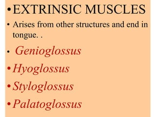 Muscles of tongue.pptx