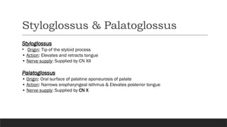 MUSCLES OF TONGUE , by Sk.Sidra Kousar | PPTX