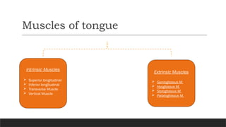MUSCLES OF TONGUE , by Sk.Sidra Kousar | PPTX