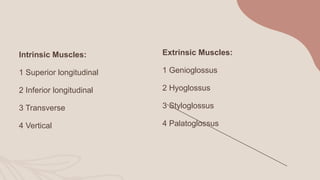 muscles of tongue and its prosthodontic implications | PPTX
