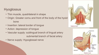 muscles of tongue and its prosthodontic implications | PPTX