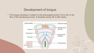 muscles of tongue and its prosthodontic implications | PPTX