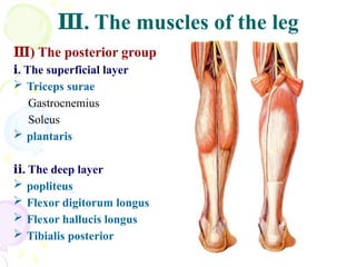 muscles of upper and lower limb detailed | PPTX