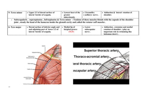 Muscles of Upper Limb Anatomy ken aaaaaaaaaaaaaaaaaaaaaaaaaaa | PDF