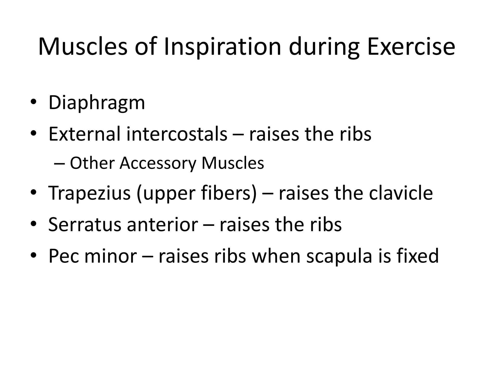 Muscles of ventilation | PPTX