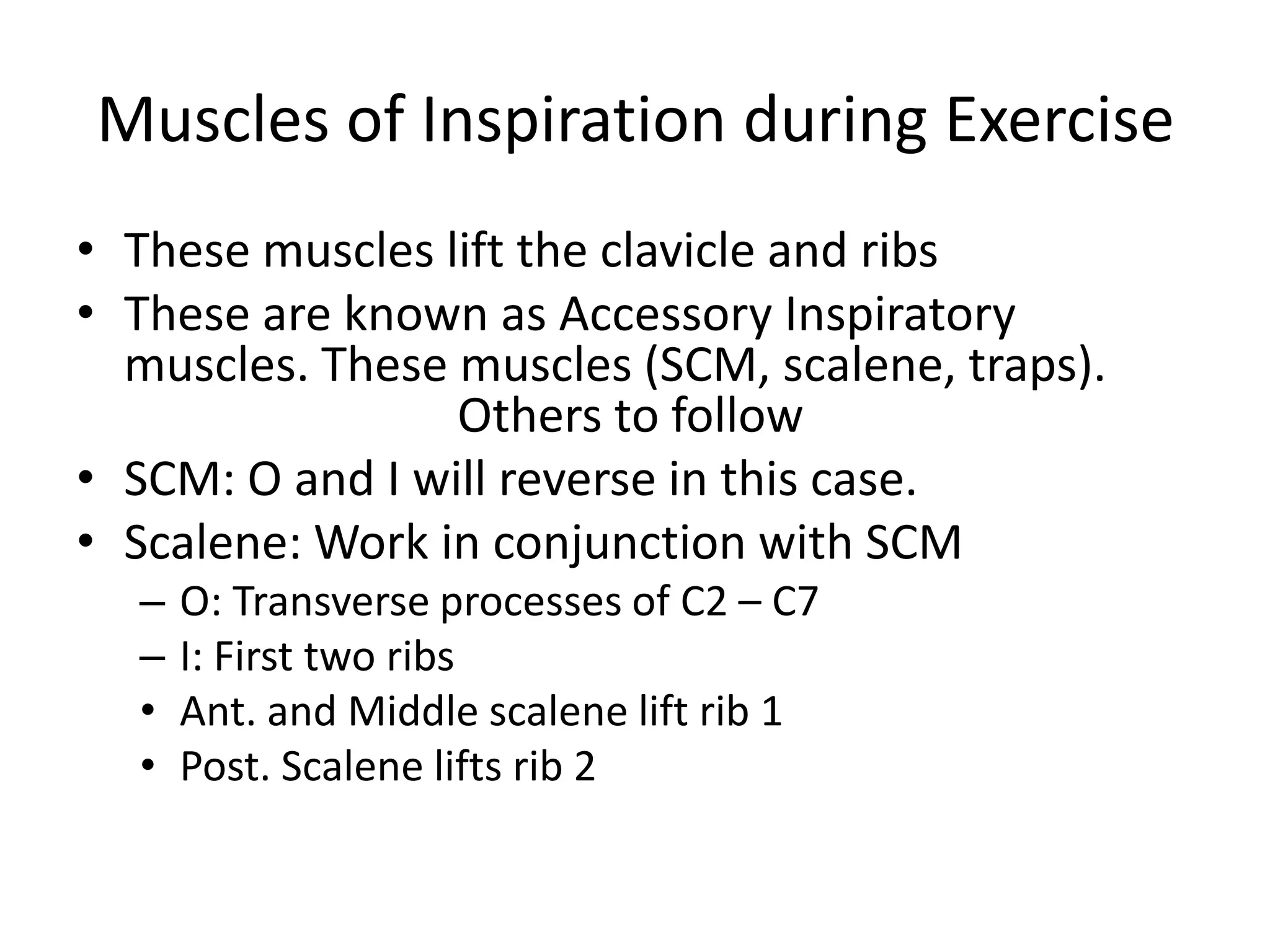 Muscles of ventilation | PPTX