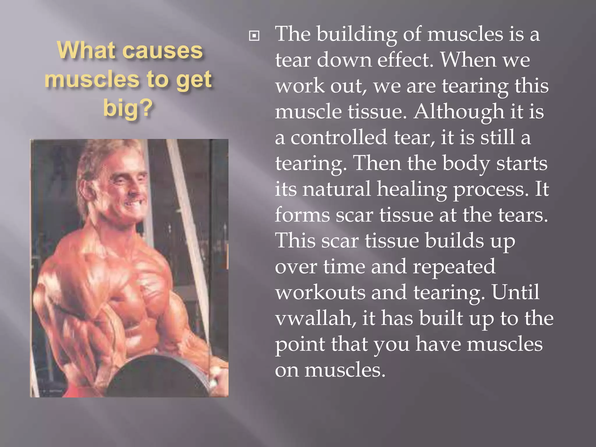 Muscles on muscles ppt | PPTX