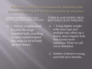 Muscles on muscles ppt | PPTX