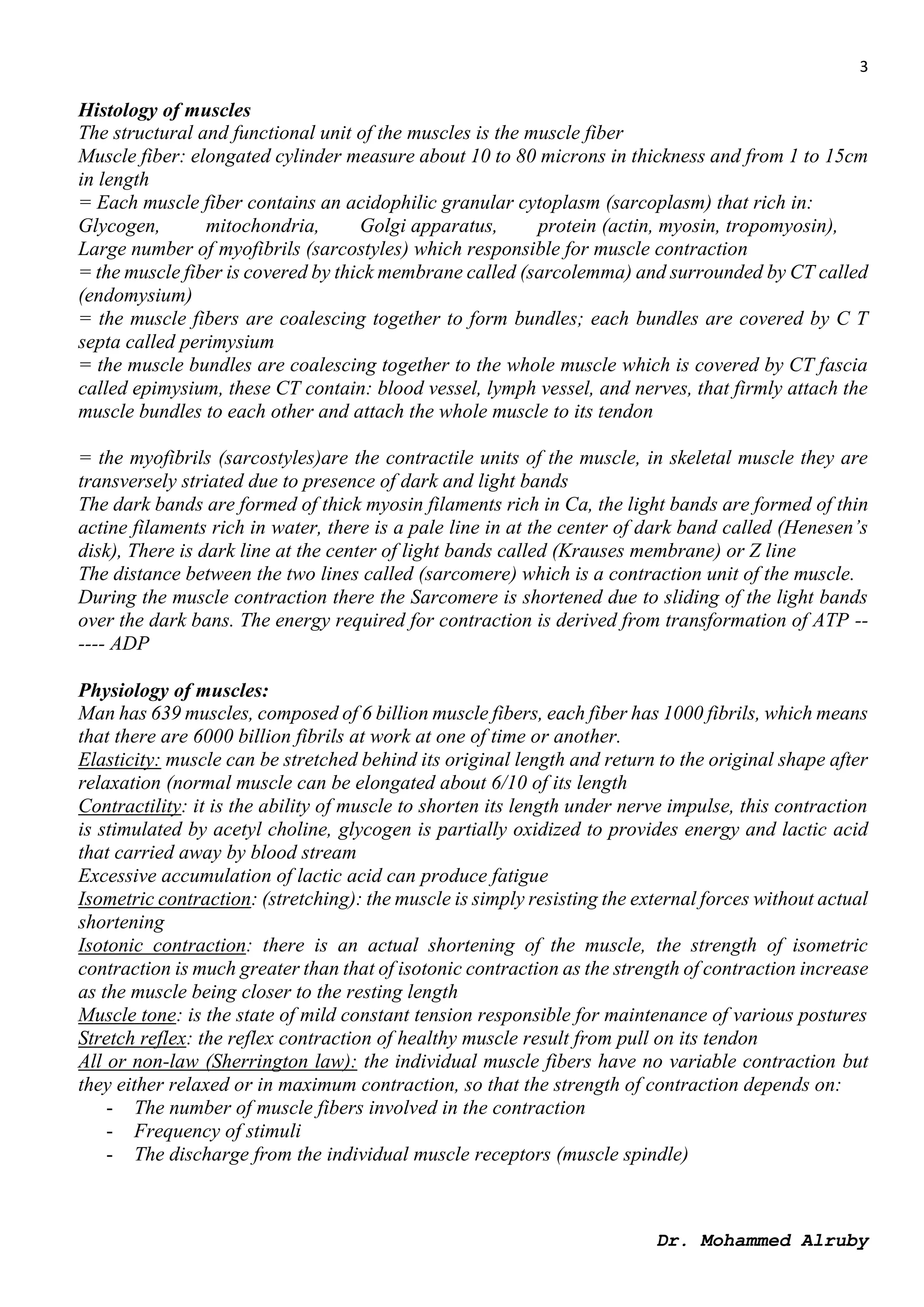 muscles part 1.docx