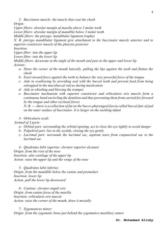 muscles part 1.docx