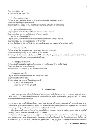 muscles part 1.docx