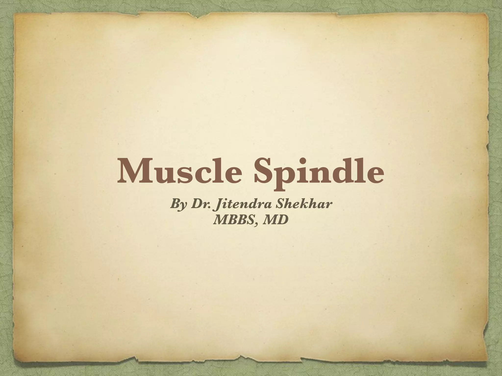 Muscle spindle | PPT