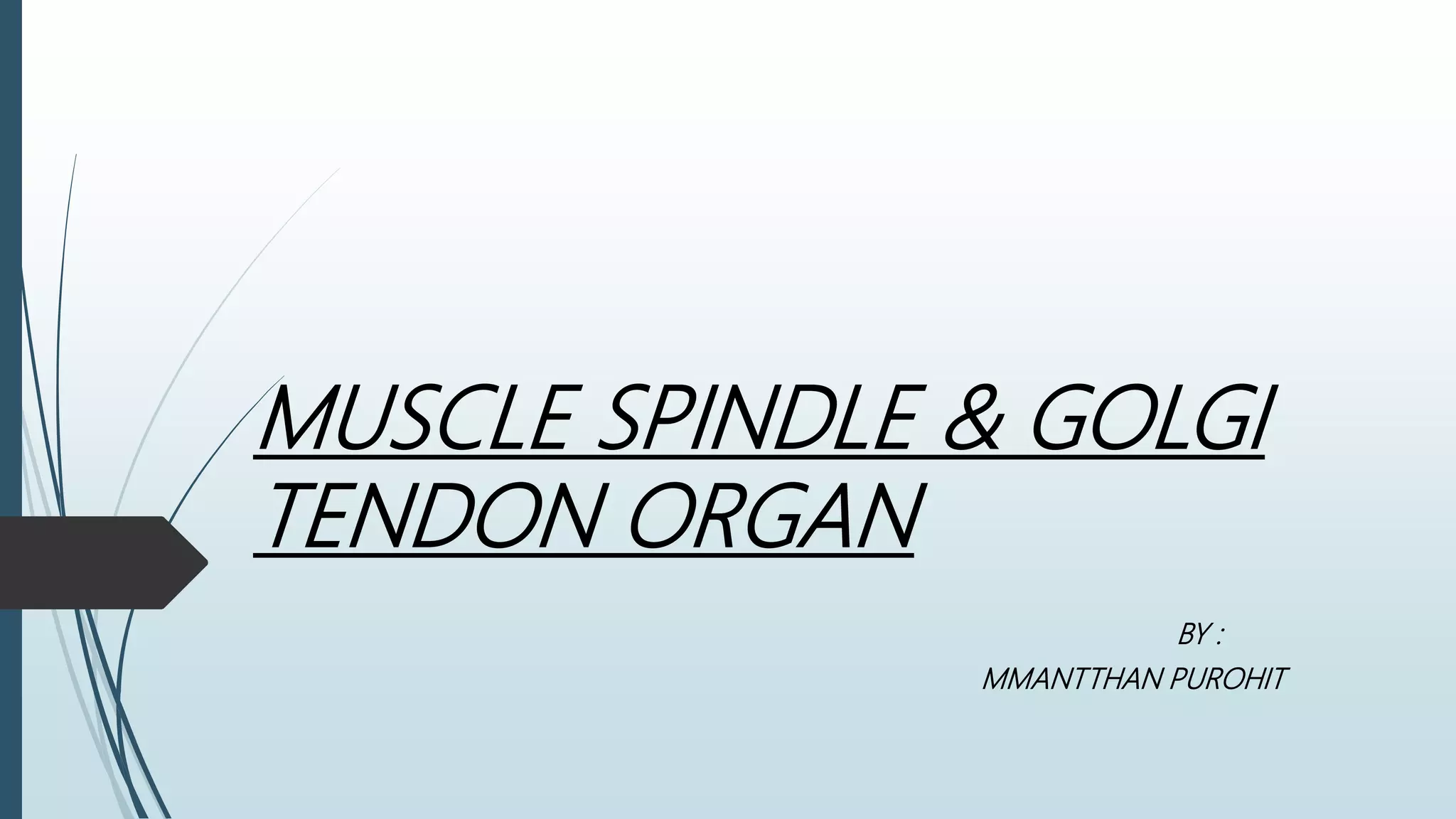Muscle spindle & Golgi tendon organ | PPTX