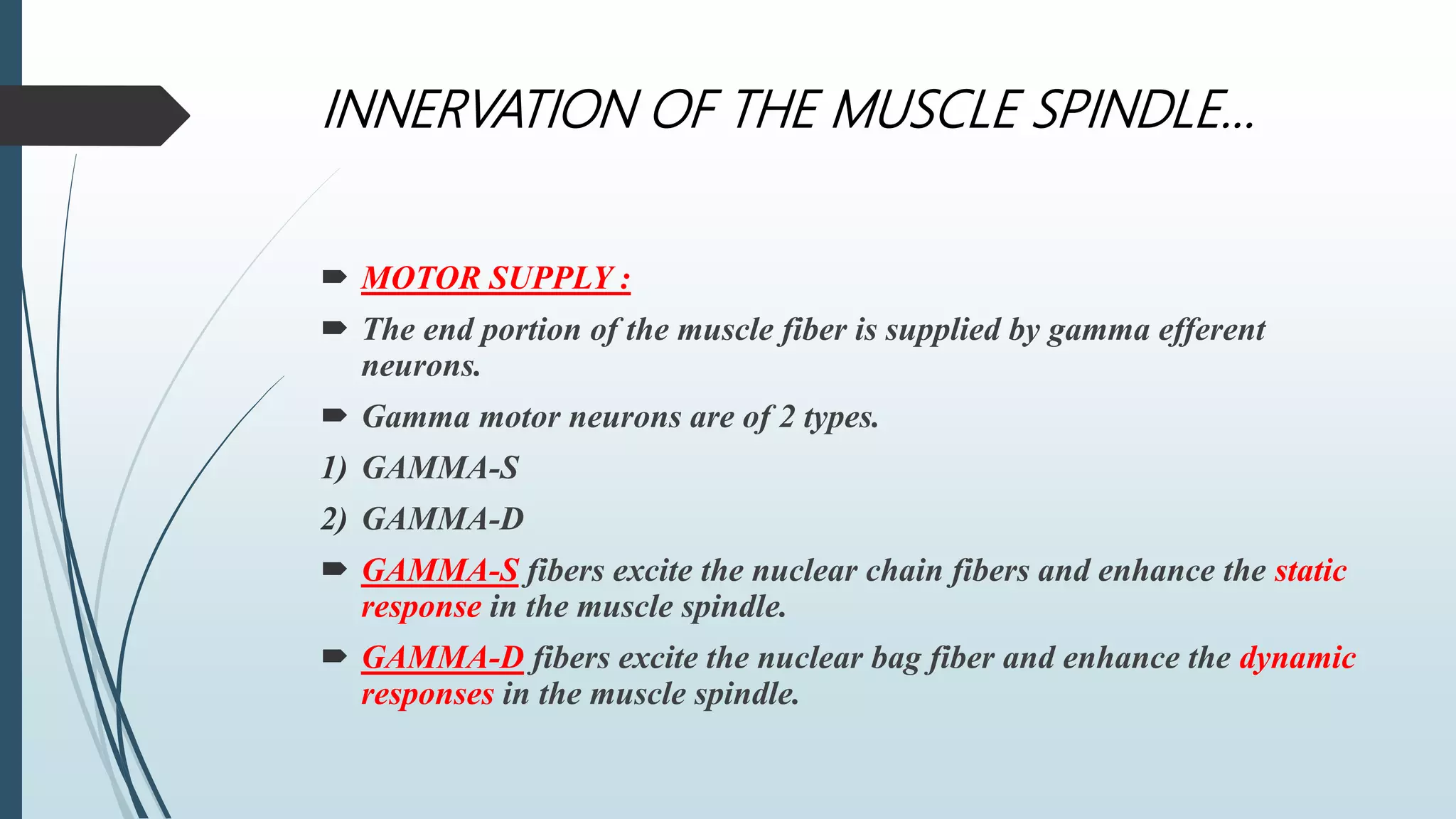 Muscle spindle & Golgi tendon organ | PPTX