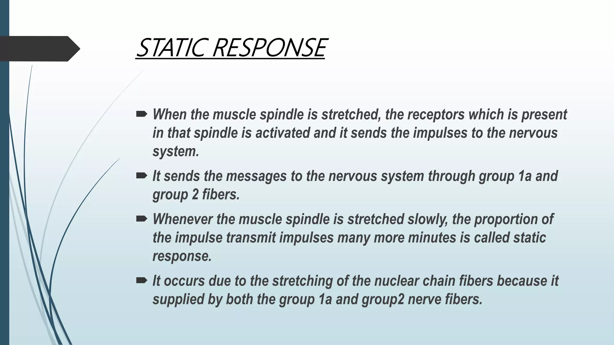 Muscle spindle & Golgi tendon organ | PPTX