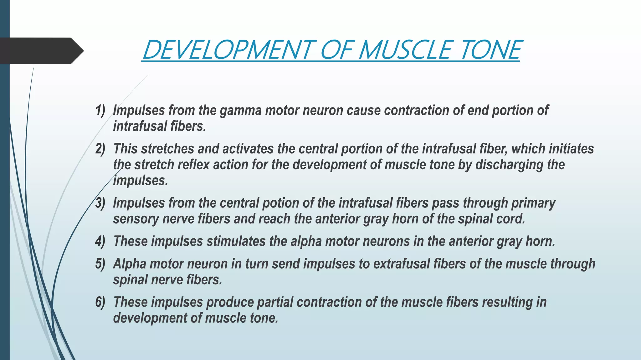 Muscle spindle & Golgi tendon organ | PPTX