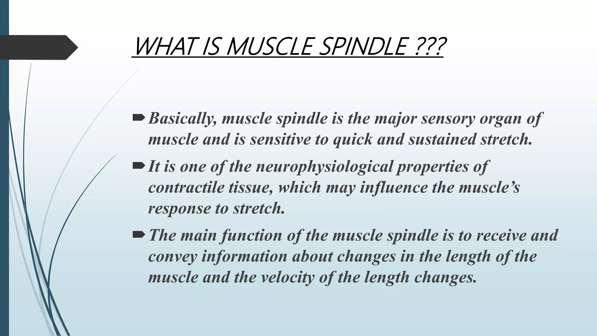 Muscle spindle & Golgi tendon organ | PPTX