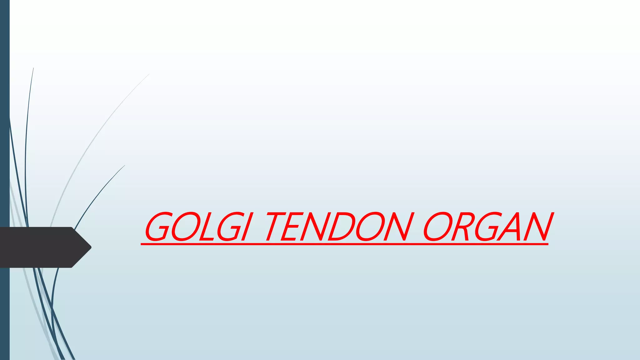 Muscle spindle & Golgi tendon organ | PPTX