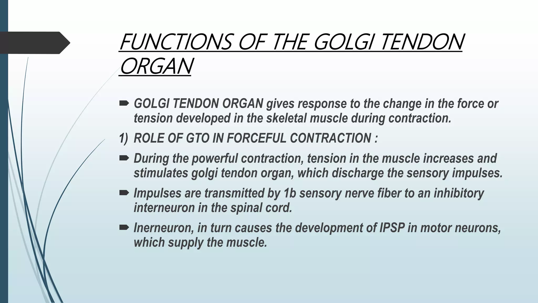 Muscle spindle & Golgi tendon organ | PPTX