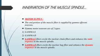 Muscle spindle & Golgi tendon organ | PPTX