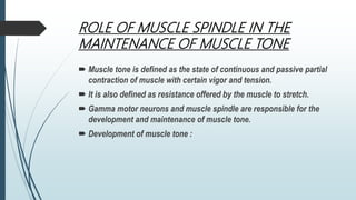 Muscle spindle & Golgi tendon organ | PPTX
