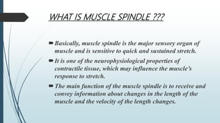 Muscle spindle & Golgi tendon organ | PPTX