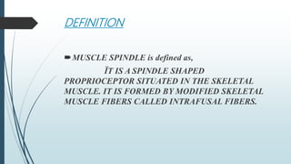 Muscle spindle & Golgi tendon organ | PPTX