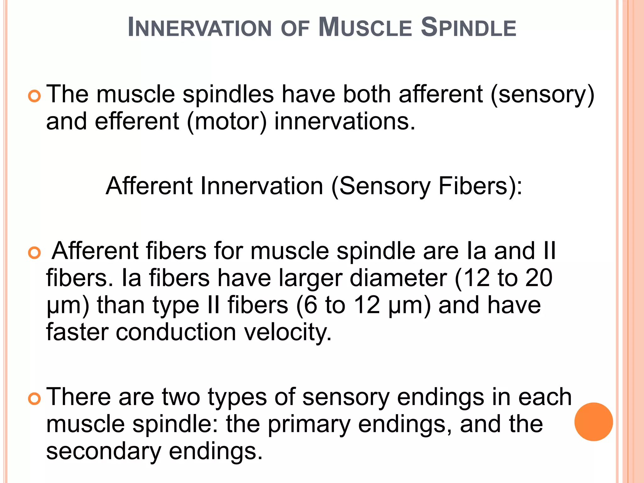 Muscle Spindle.pptx