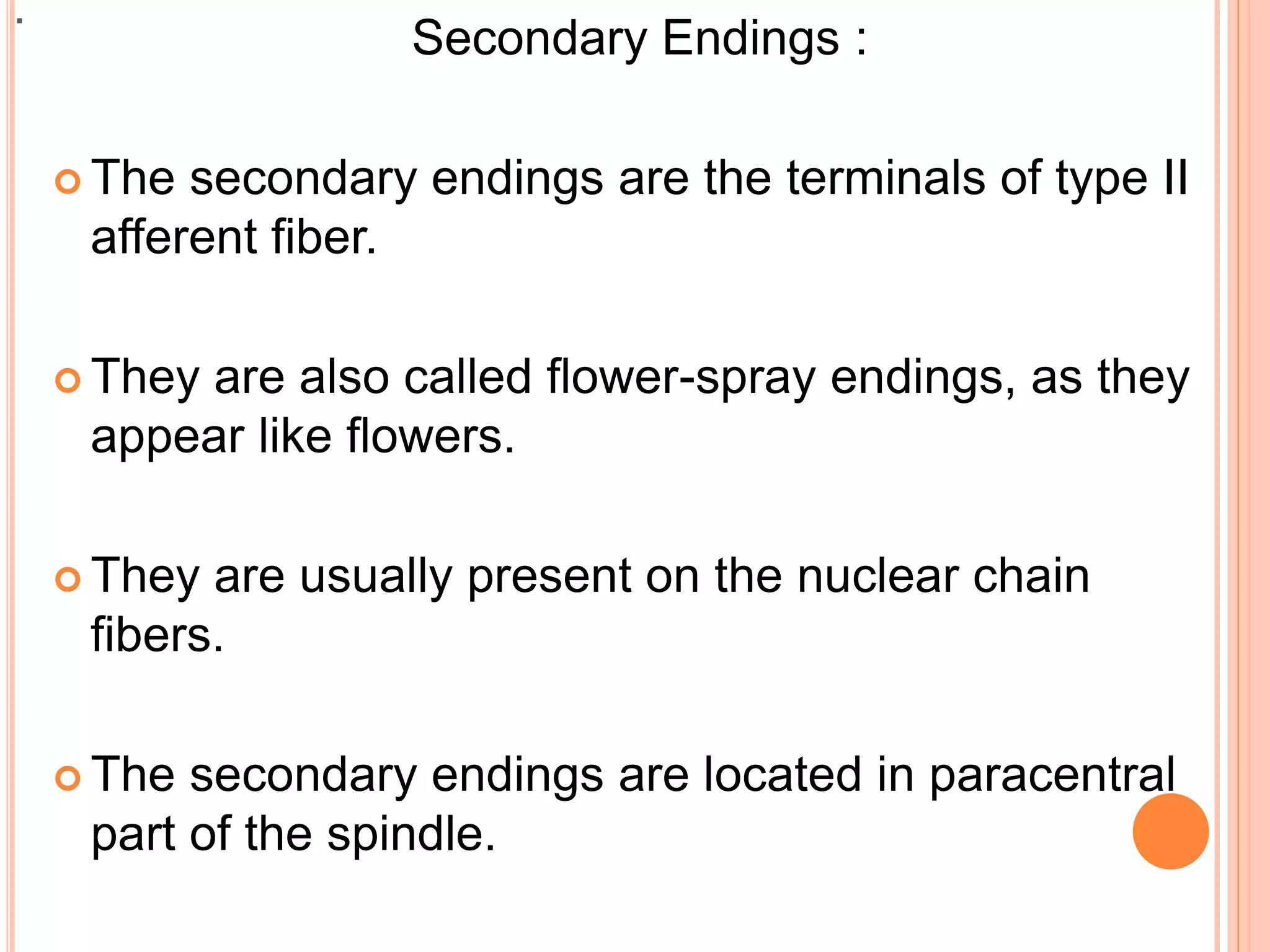Muscle Spindle.pptx
