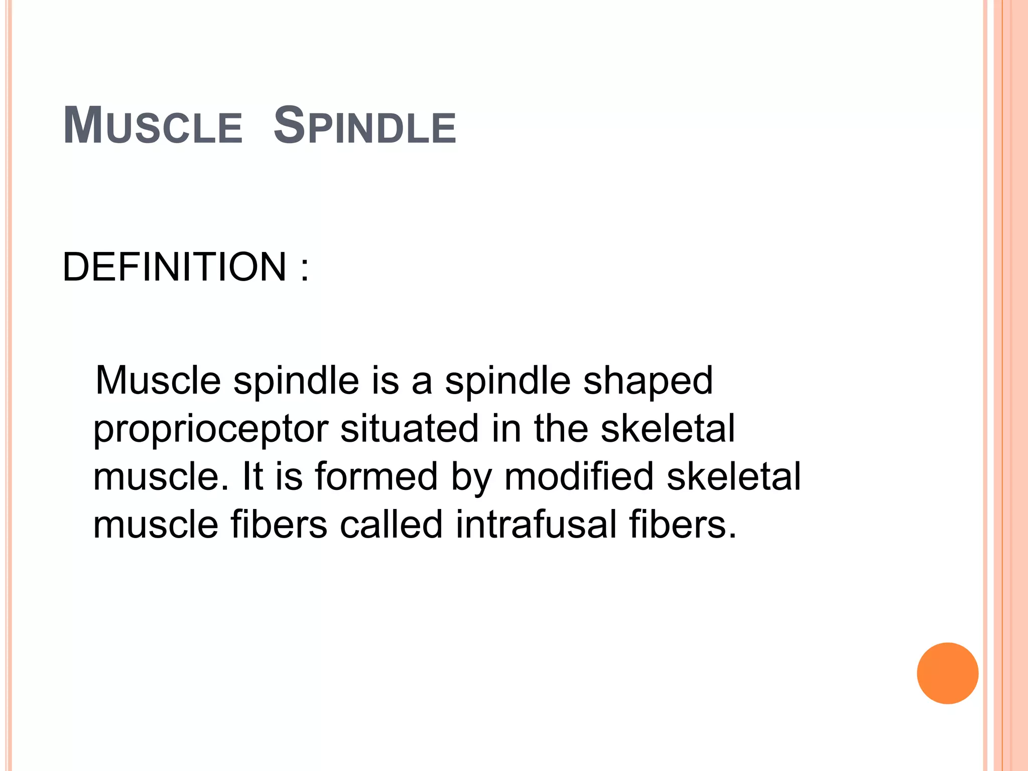 Muscle Spindle.pptx