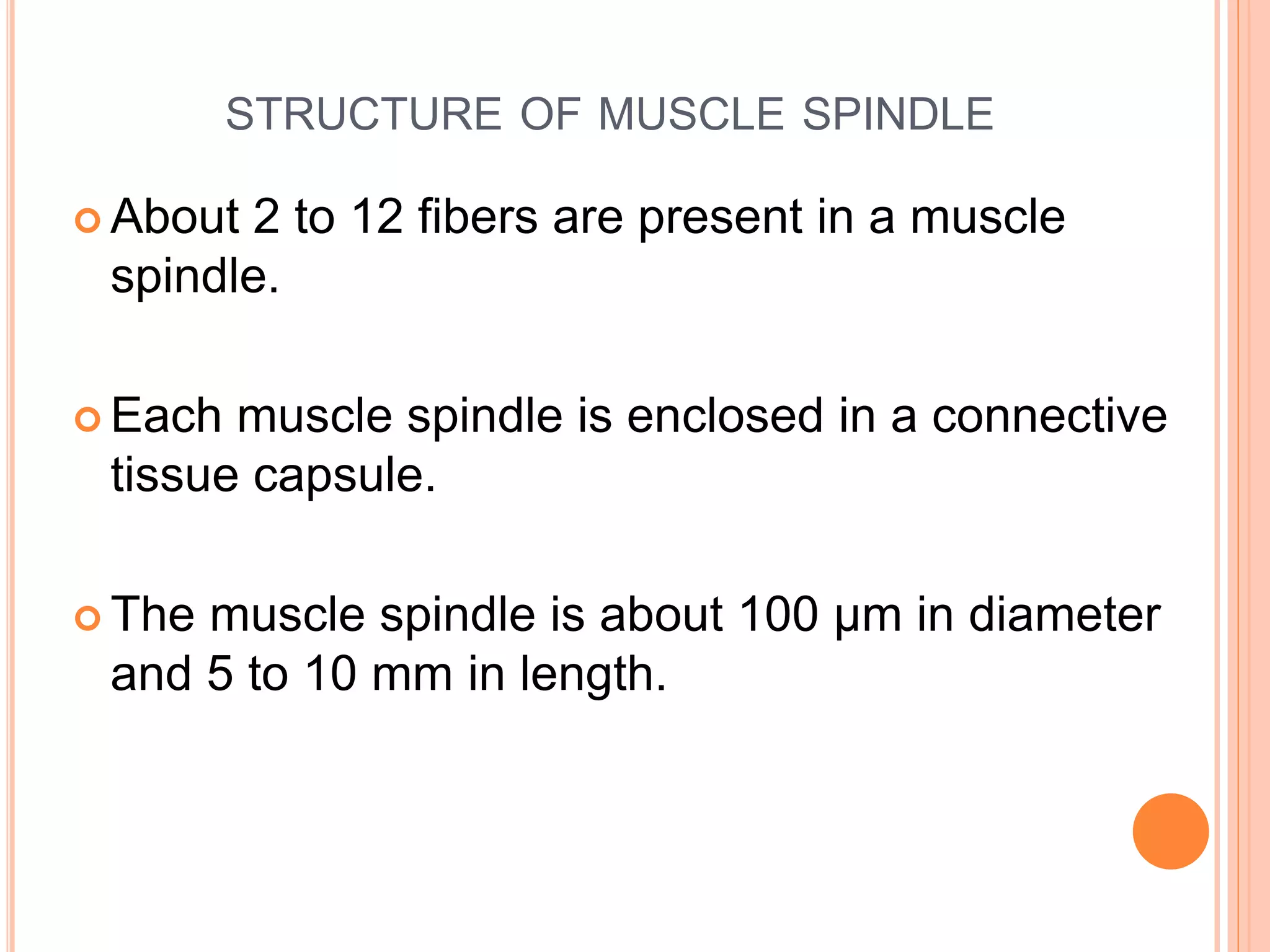 Muscle Spindle.pptx