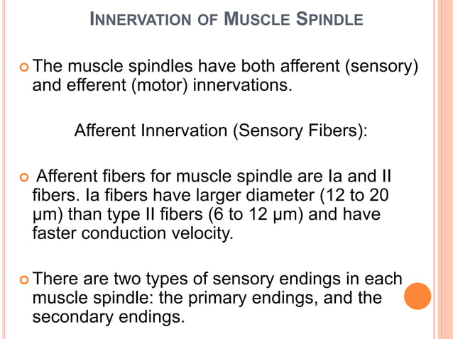 Muscle Spindle.pptx