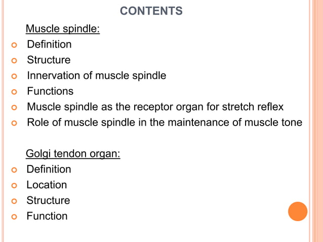 Muscle Spindle.pptx