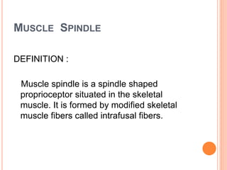 Muscle Spindle.pptx