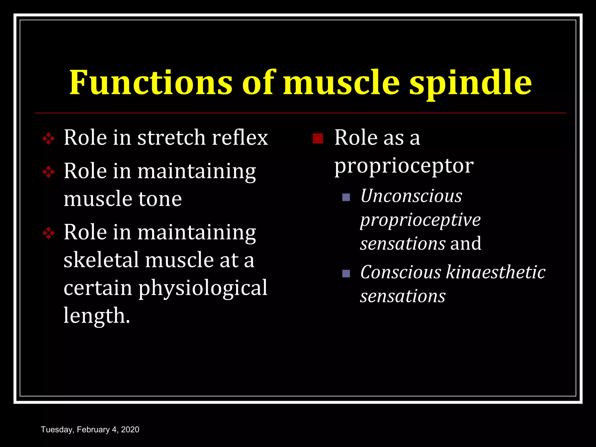 Muscle spindle and reflex activity | PPT